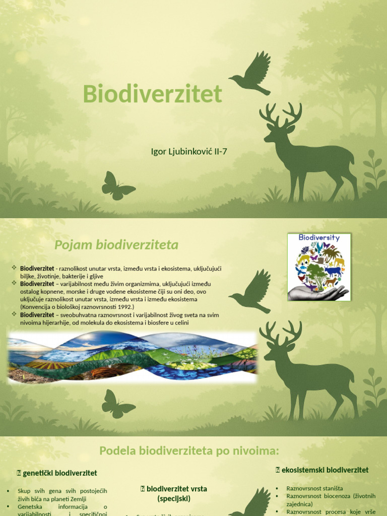 Bio Diver Zit Et | PDF