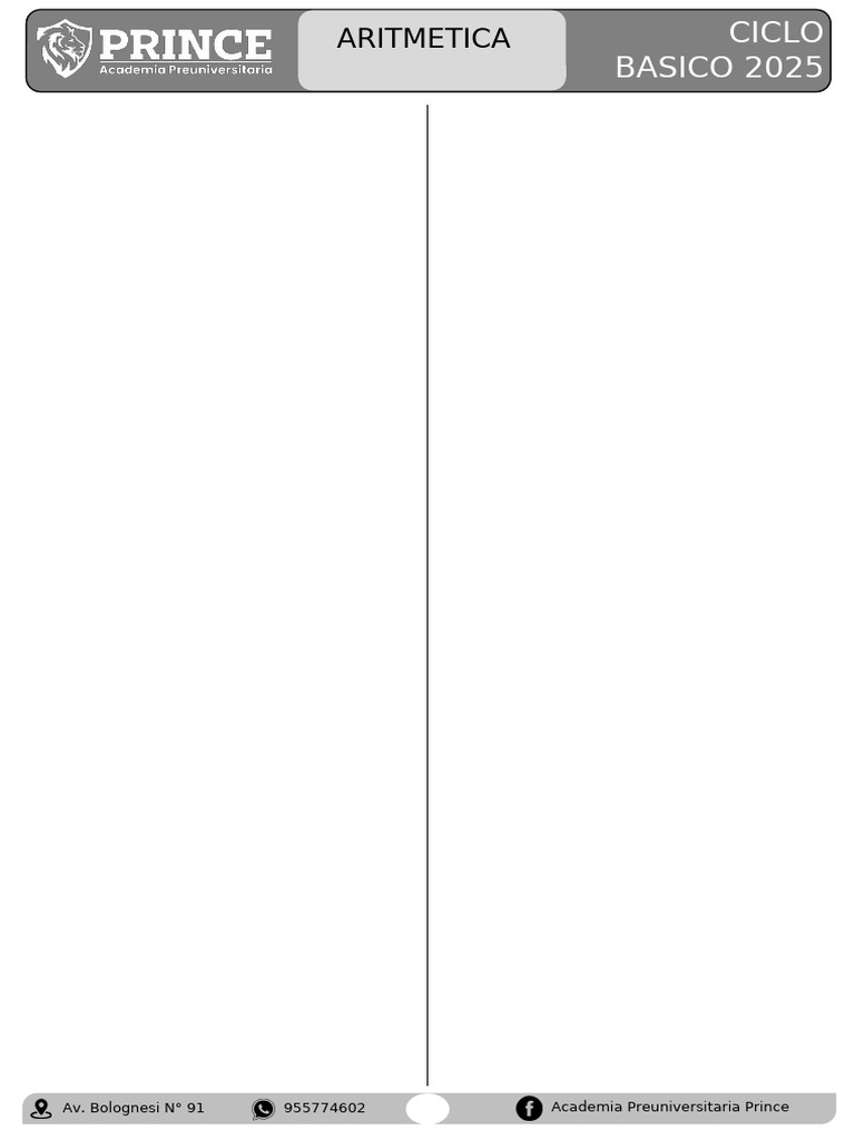 Formato Aritmetica Basico | PDF