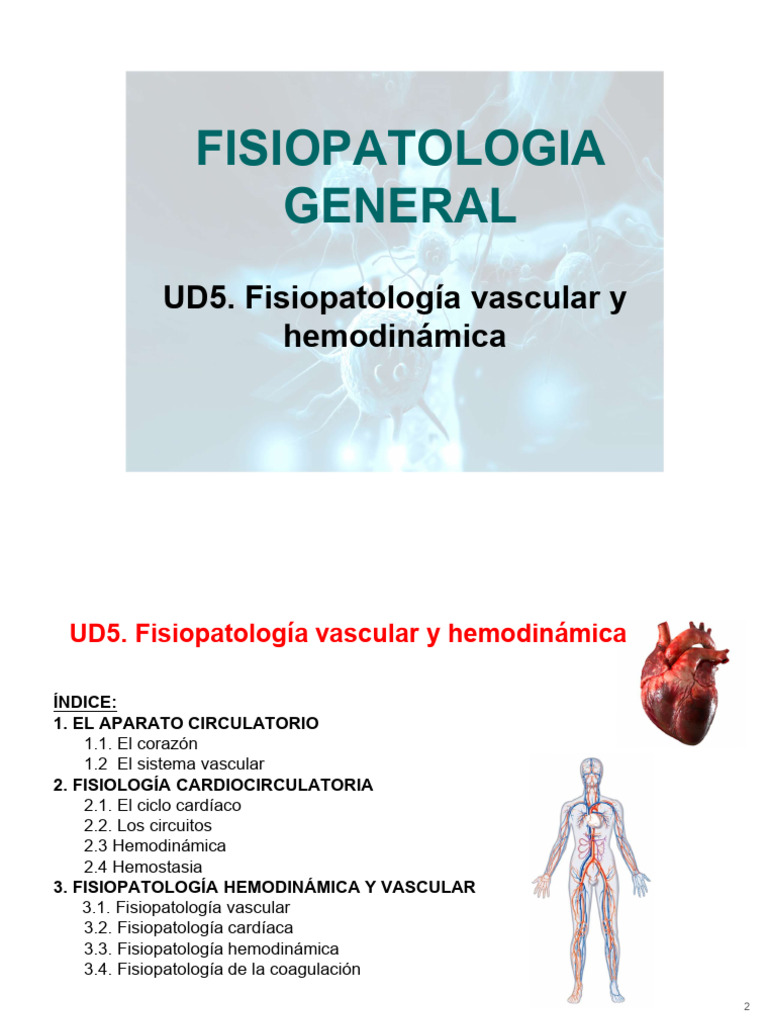 Ud5 Fisiopatología Vascular y Hemodinámica 2024 | PDF | Corazón | Coagulación