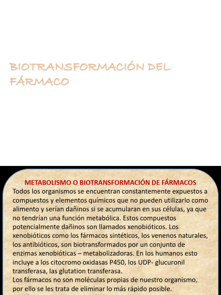Farmacologia - Metabolismo | PDF | Biotransformación | Citocromo P450