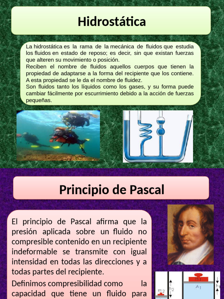 Fundamentos de Hidrostática y Principios Clave | PDF