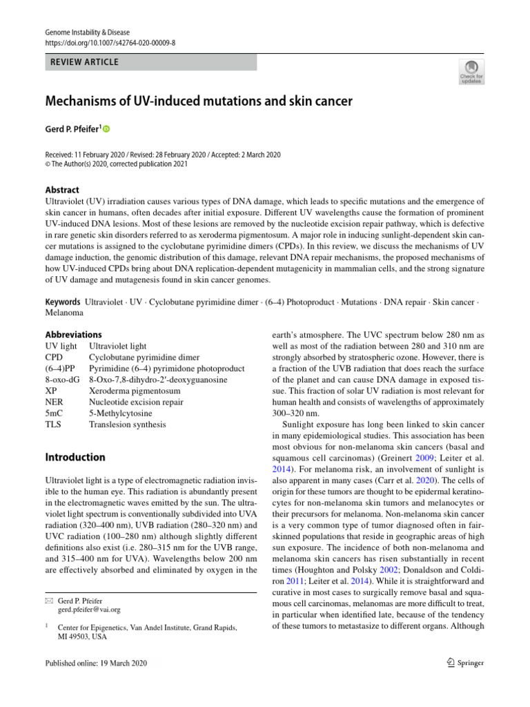 Mechanism of UV Induced Mutation and Skin Cancer | PDF | Dna Repair ...