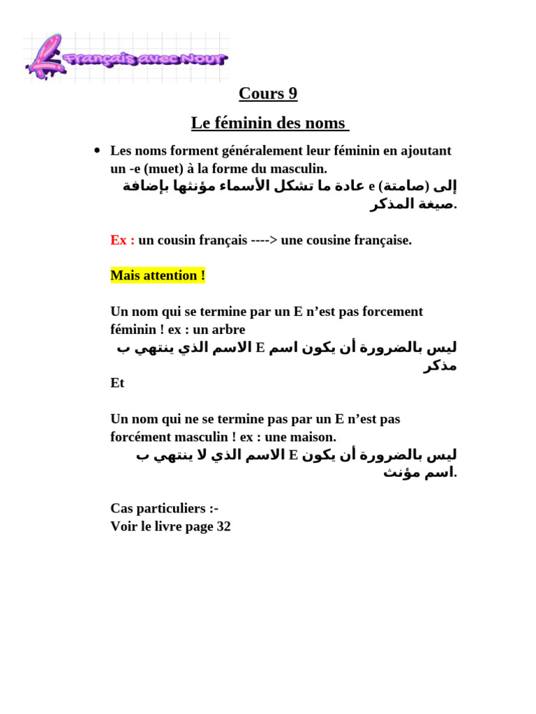 Règles du féminin des noms en français | PDF