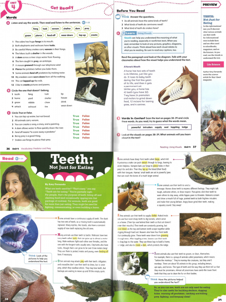 Oxford Discover Student Book 5. Unit 4 | PDF