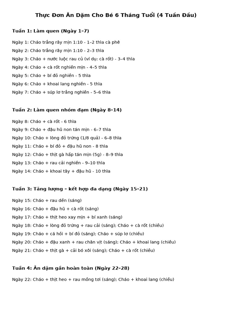 Thuc Don An Dam 6 Thang Dau Tien | PDF