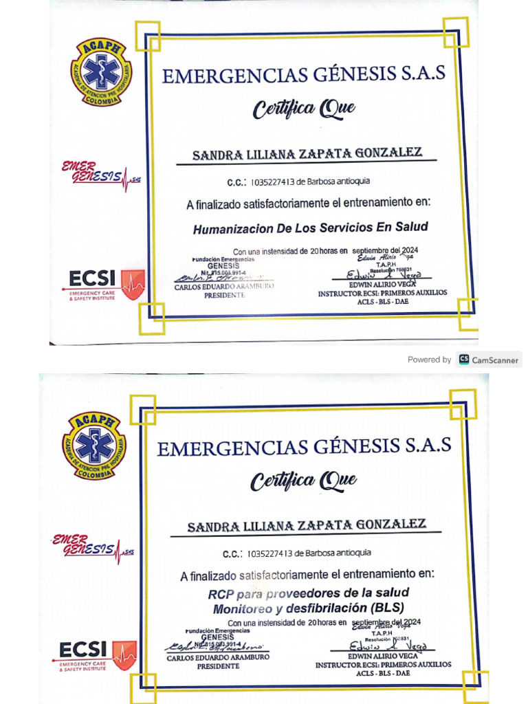 Certificado Sandra | PDF