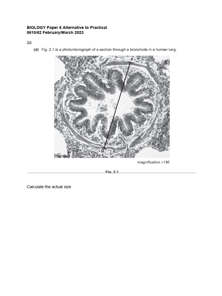 Biology Paper 6 Practical Alternatives 2023 | PDF