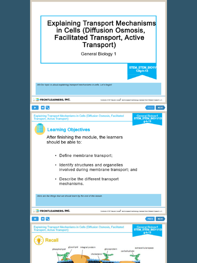 Transport Mechanism | PDF