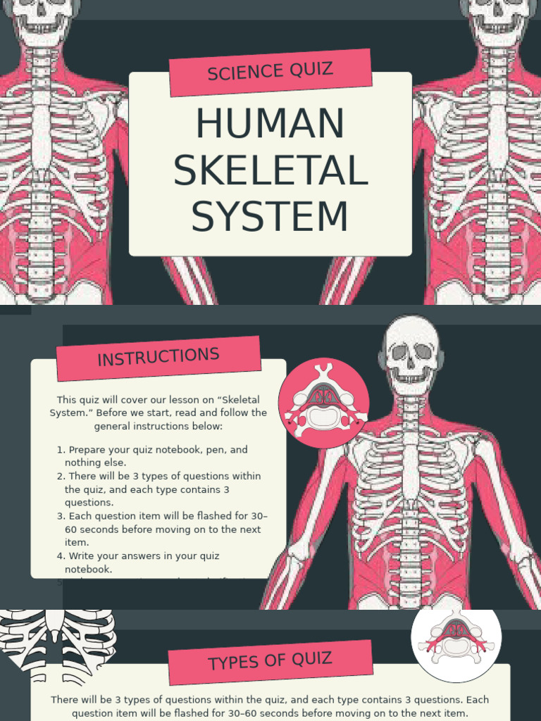 Skeletal System Quiz Instructions | PDF | Skeletal System ...