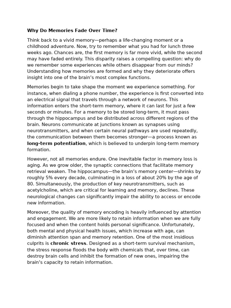 Why Do Memories Fade Over Time | PDF | Memory | Synapse