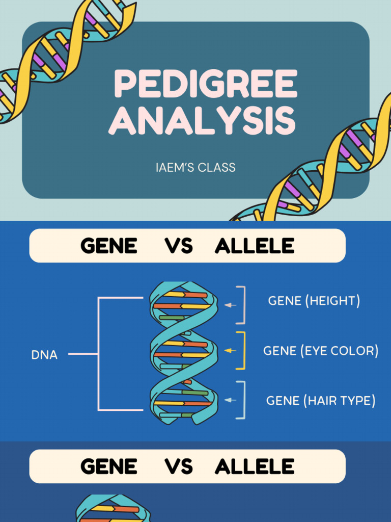 Lecture - Gen Bio 2 - Quarter 1 Week 1 - Pedigree Analysis - 20250625 ...