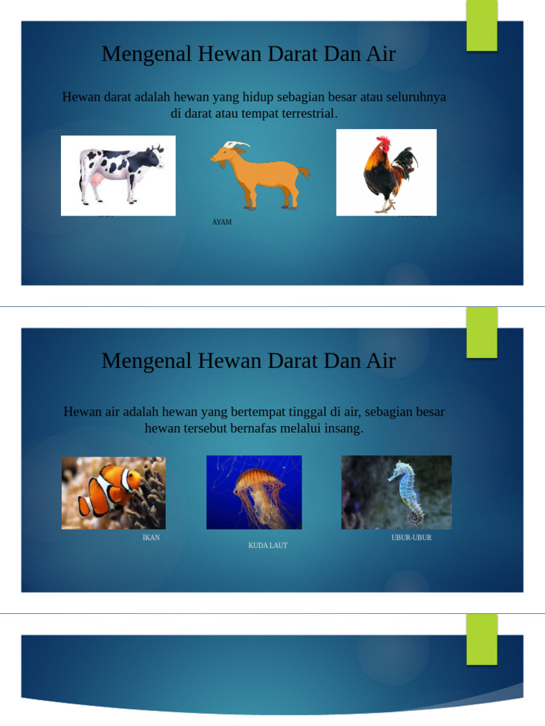 Mengenal Hewan Darat Dan Air | PDF