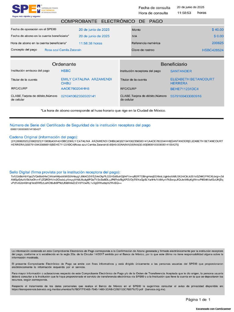 Cep 20250620 HSBC428524 1 | PDF