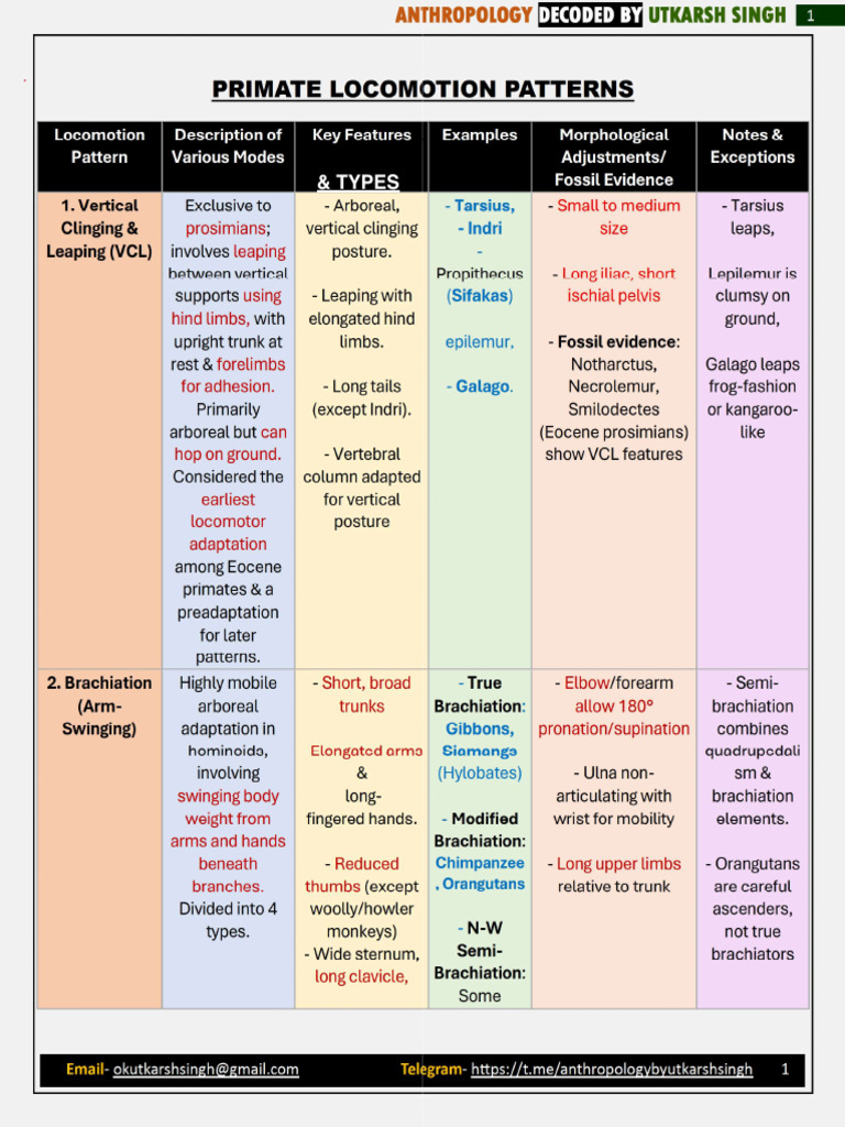 PRIMATE LOCOMOTION PATTERNS - Summary Chart | PDF