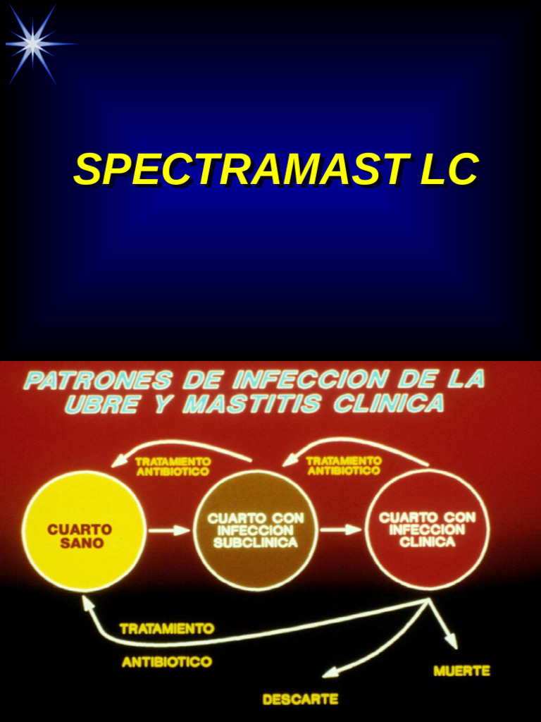 PFIZER SPECTRAMAST LC Cuzco 2 | PDF | Organismos | Procariota
