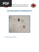 Identificación de Almidón con Lugol | PDF | Almidón | Química