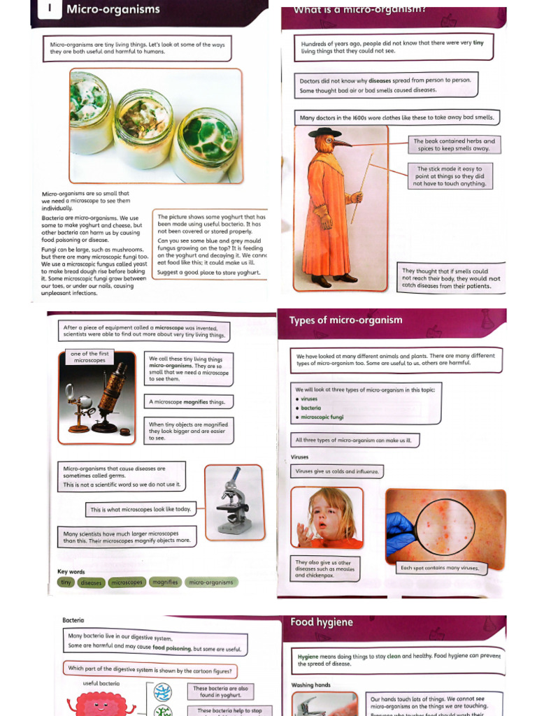 Iprim Grade 6 Microorganism | PDF