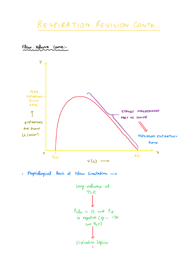 Respiratory Revision Contd | PDF