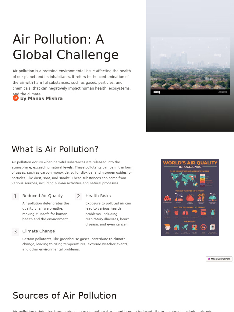 Air Pollution A Global Challenge | PDF | Air Pollution | Particulates