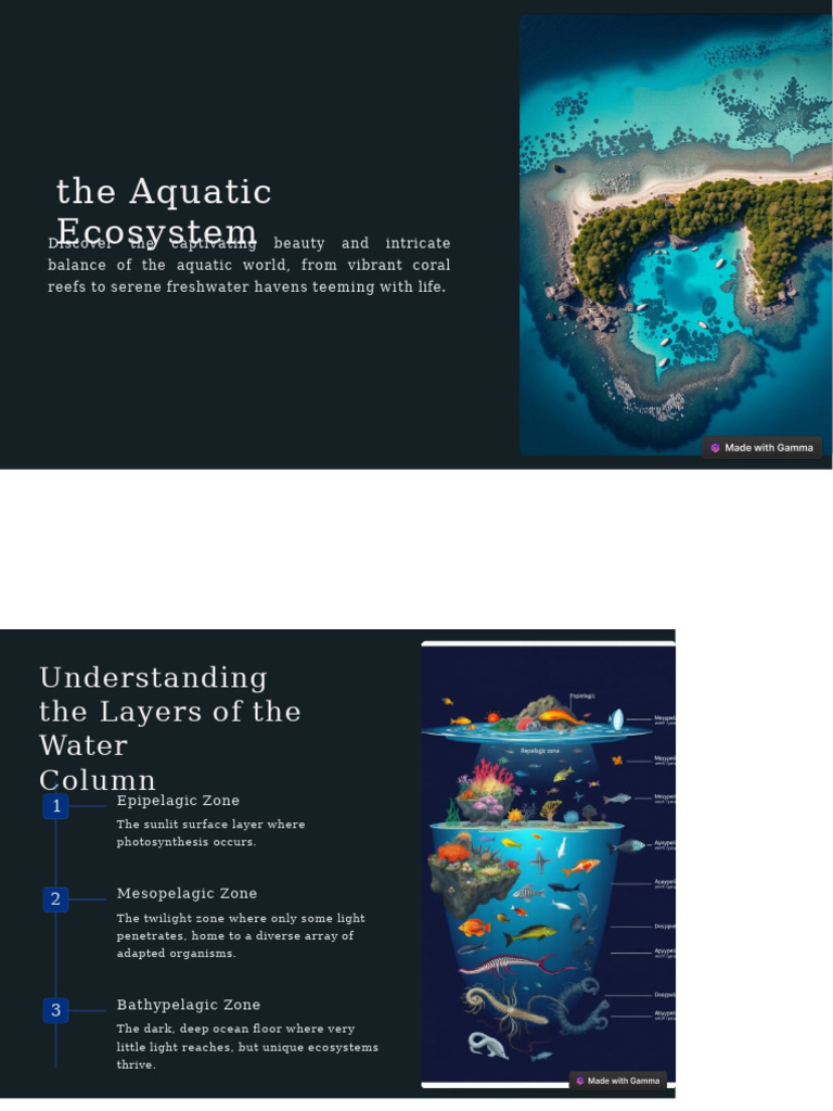 The Aquatic Ecosystem | PDF | Aquatic Ecosystem | Habitat