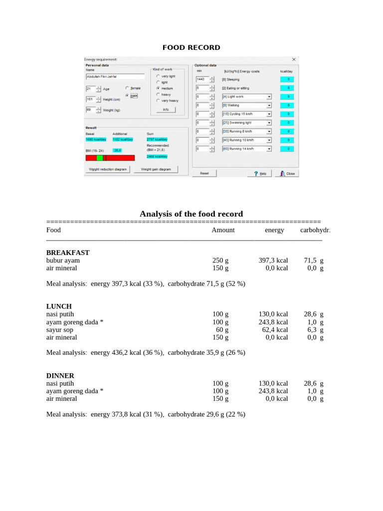 Food Record Dan Nutrisurvey | PDF