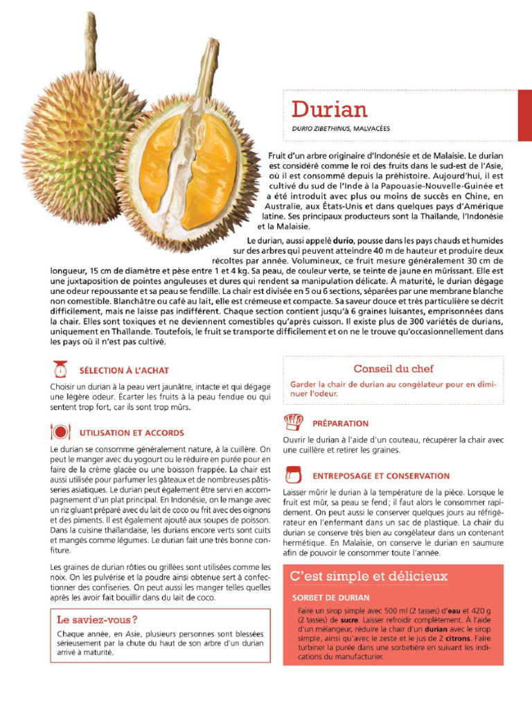 Durian | PDF