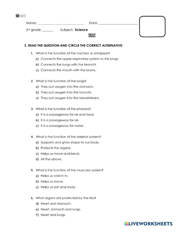 Human Body Test - Grade 3 | PDF