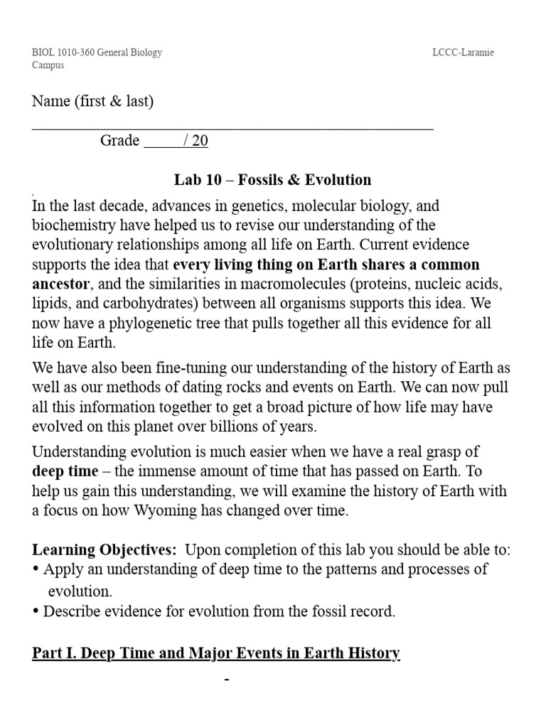 Fossils and Evolution Lab Guide | PDF | Dinosaurs | Pleistocene