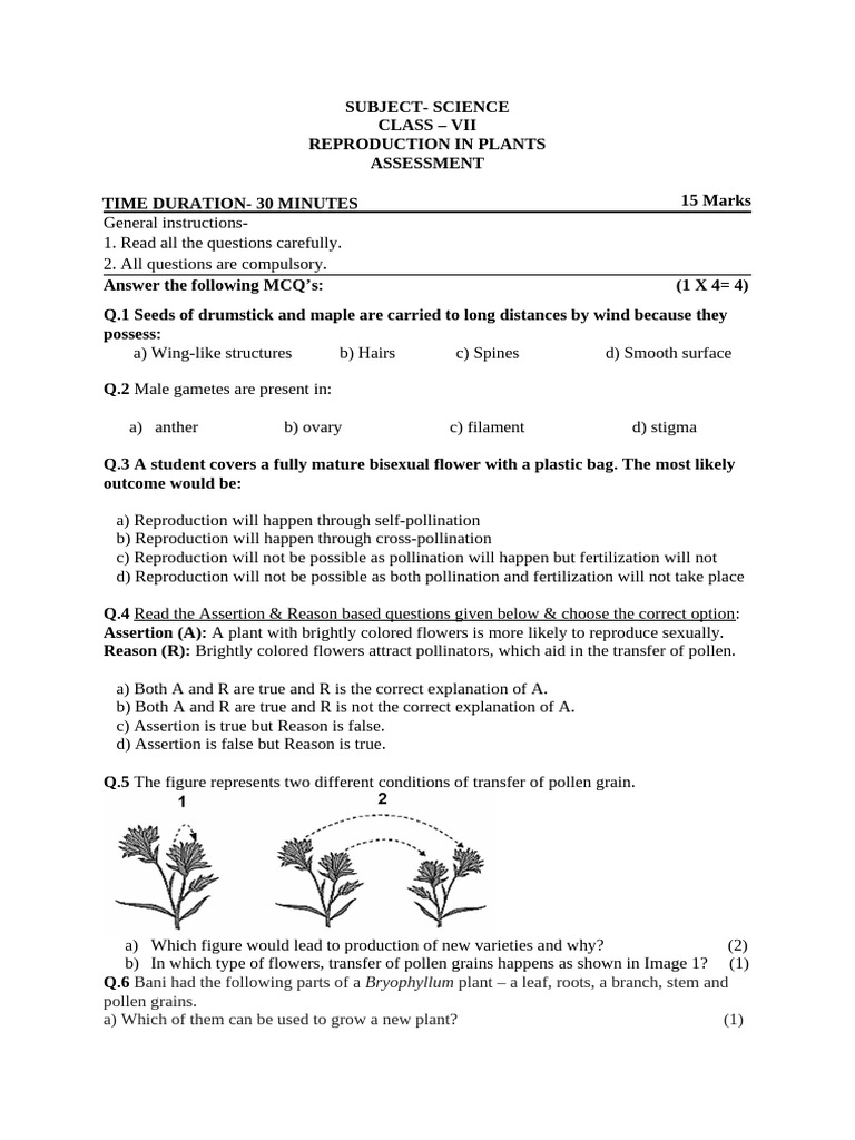 Reproduction in Plants - Assessment | PDF