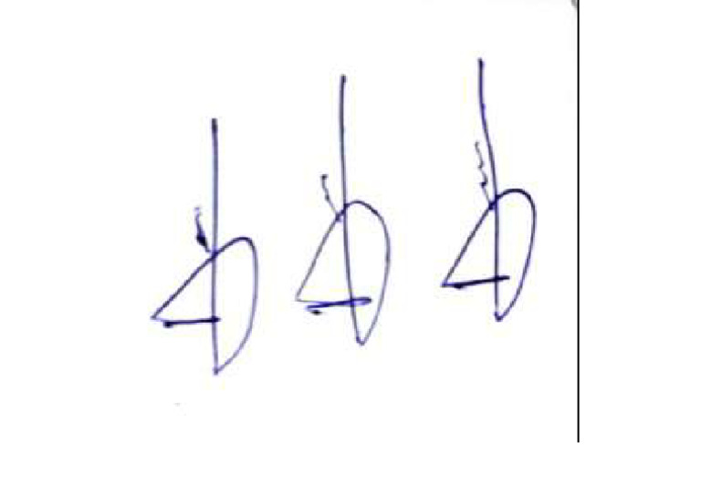 Signature de Dan | PDF