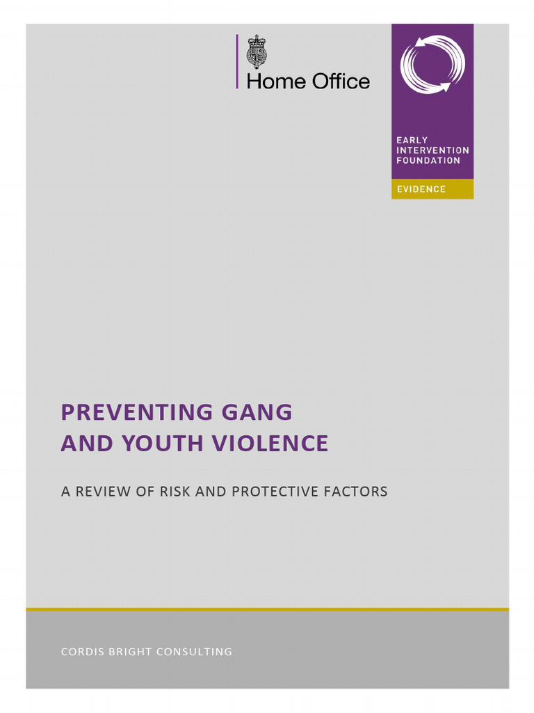 Preventing Gang and Youth Violence Risk Protective Factors | PDF ...