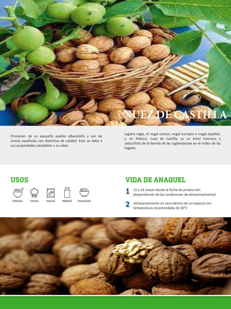 Nuez de Castilla | PDF | Nuez | Nuez