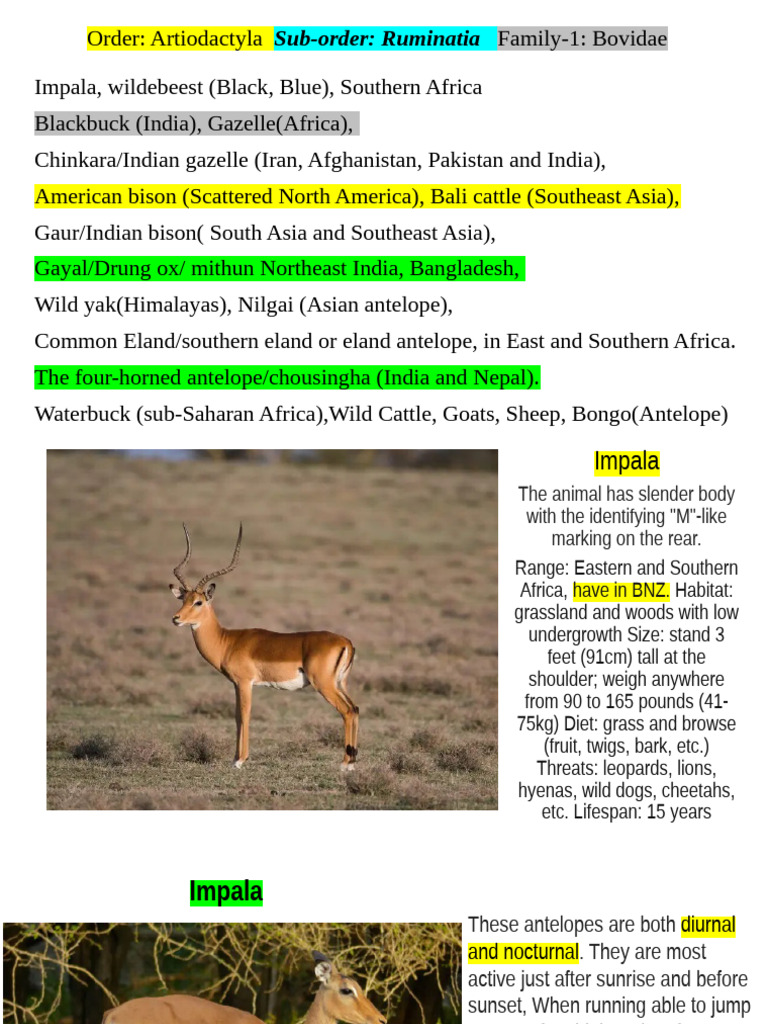 Key Antelope Species Overview | PDF | Deer | Antelope