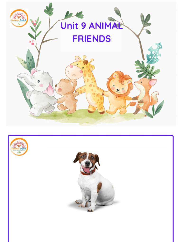 Unit 9. Animal Friends PDF | PDF