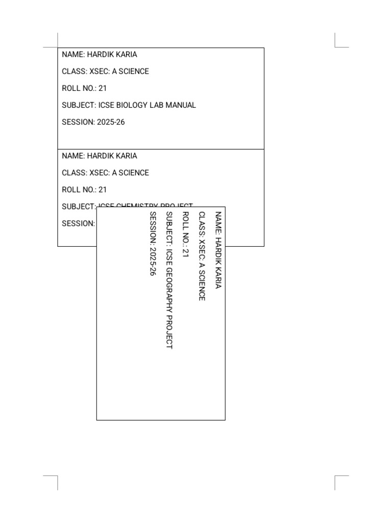 RD Project Template-1 | PDF