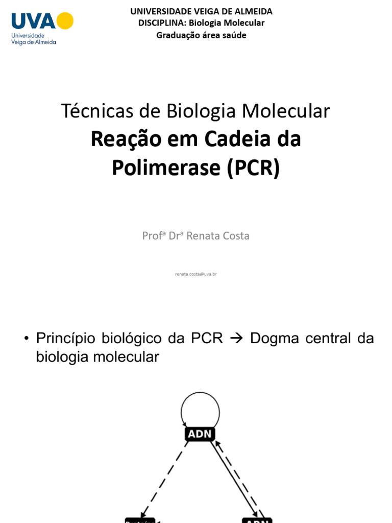 Amplificação de DNA com PCR: Guia Completo | PDF | Reação em cadeia da ...