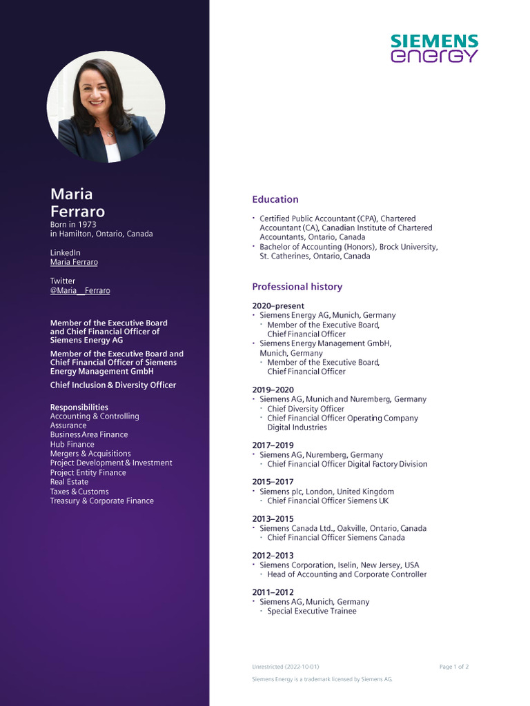 202210 CV Maria Ferraro TAB en PDF Original File | PDF