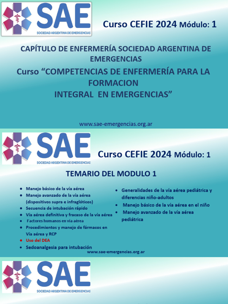 Modulo 1 Tema 8 Uso Del DEA | PDF | Reanimación cardiopulmonar