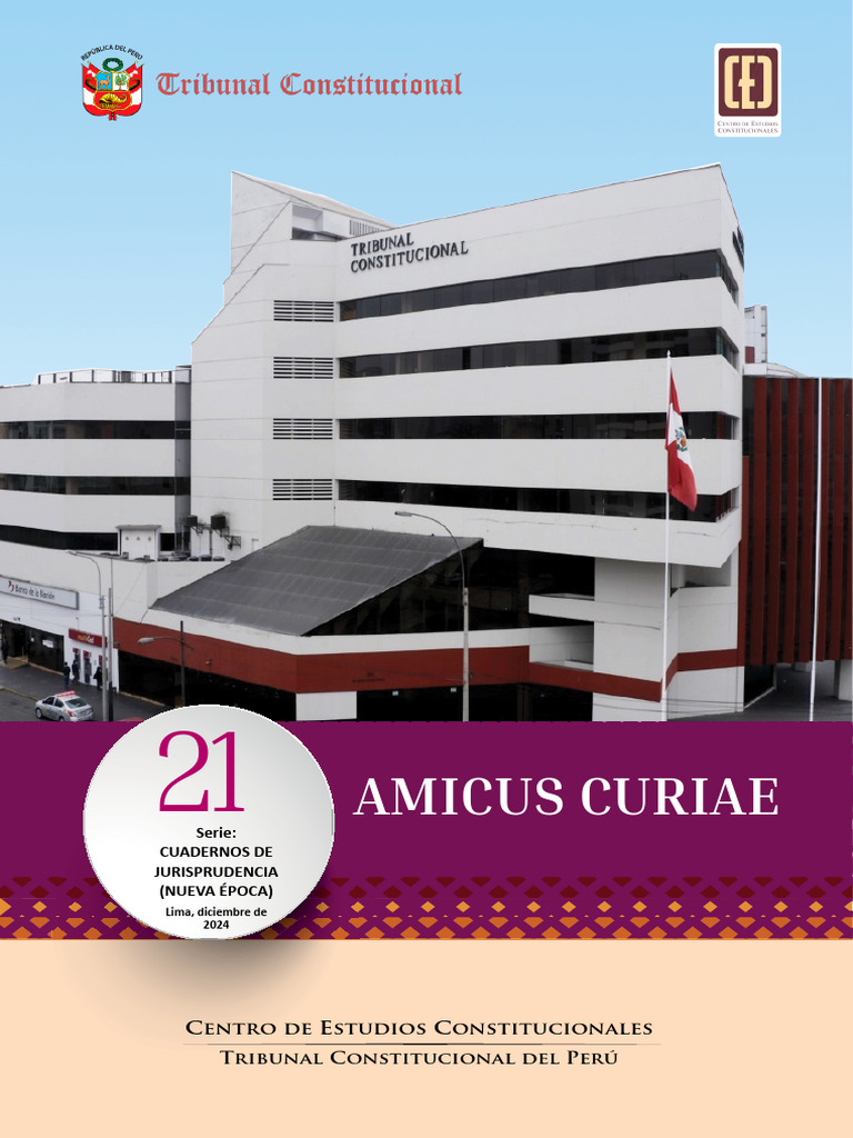 Cuadernillo Jurisprudencial Amicus Curiae | PDF | Amicus Curiae | Ley procesal