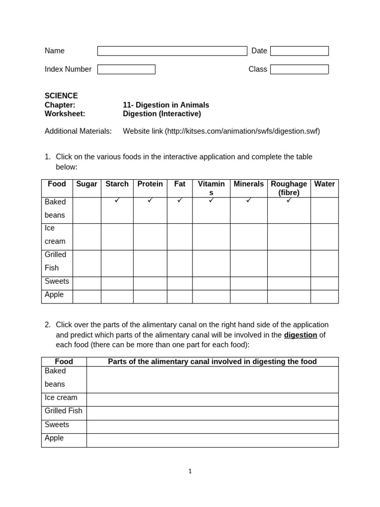 Interactive Digestion Worksheet | PDF | Digestion | Gastrointestinal Tract