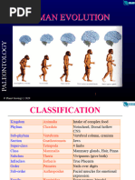Human Evolution Chart | PDF | Homo | Human Evolution