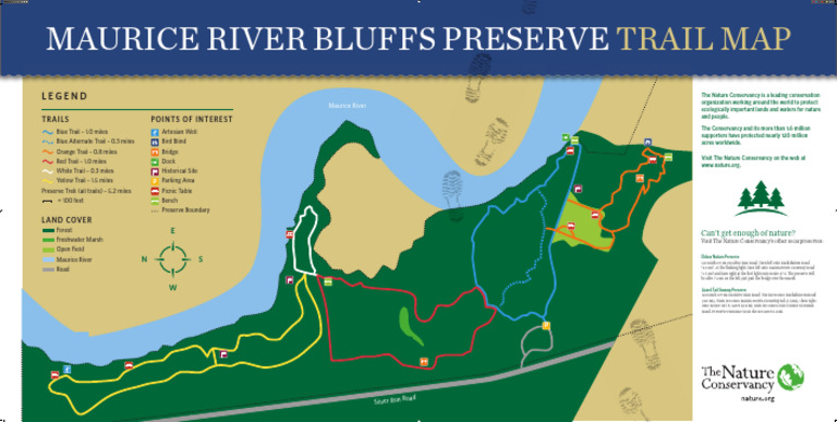 Maurice River Bluffs Preserve Guide | PDF