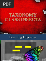 Insect Order Dichotomous Key | PDF | Insects | Arthropods