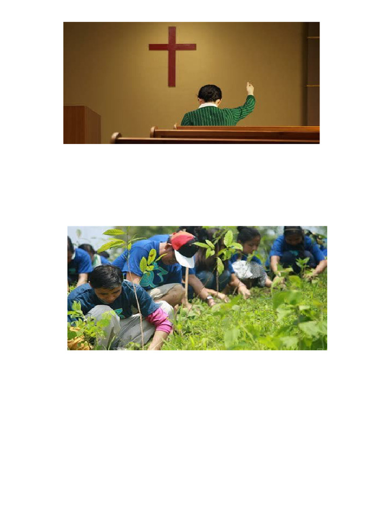 AP Collage | PDF