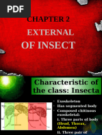 Biting and Chewing Insect Mouthparts | PDF | Insects | Arthropods