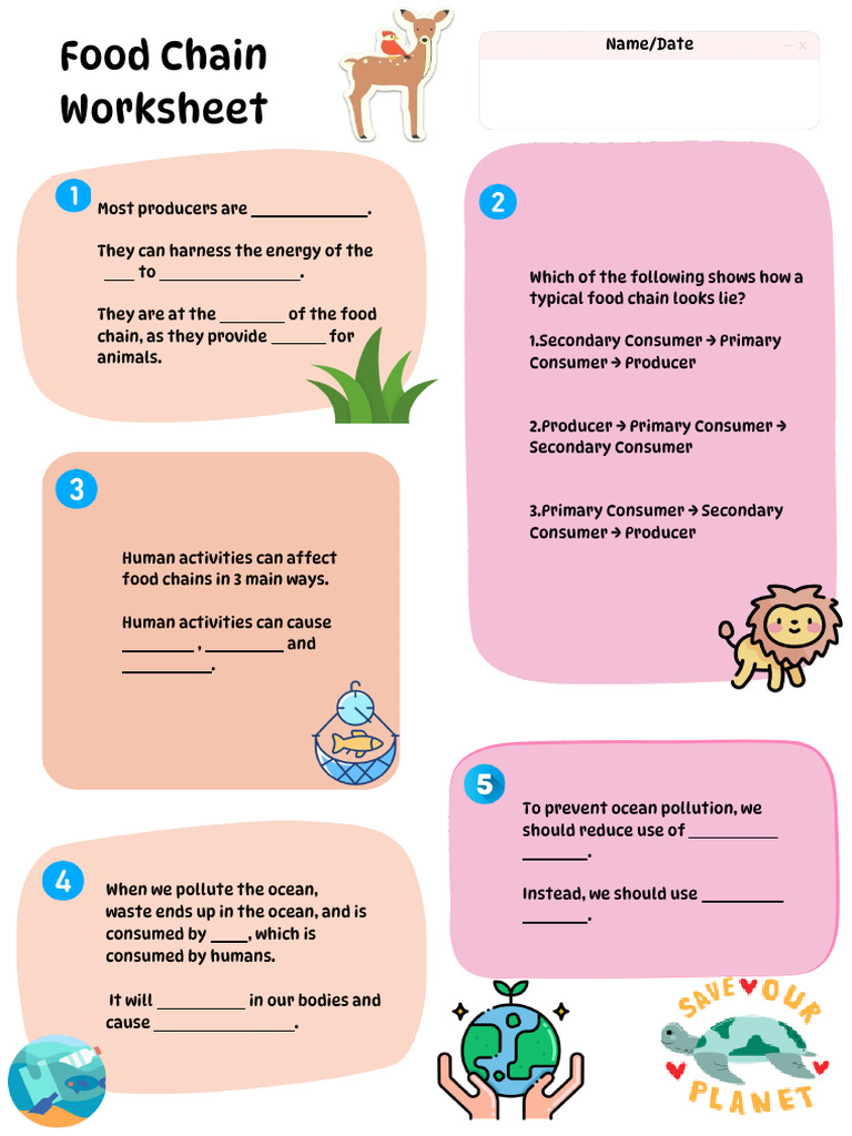 Food Chain Worksheet and Activities | PDF