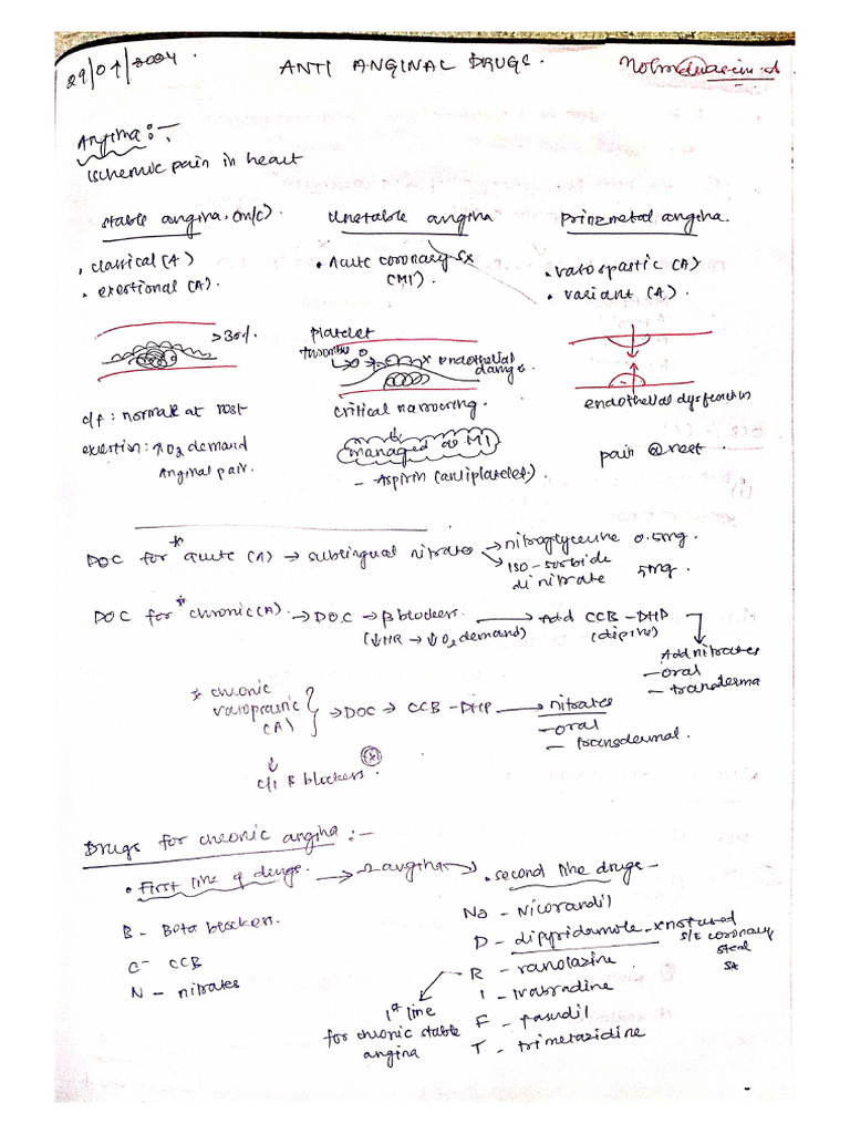 Anti Anginal Drugs | PDF