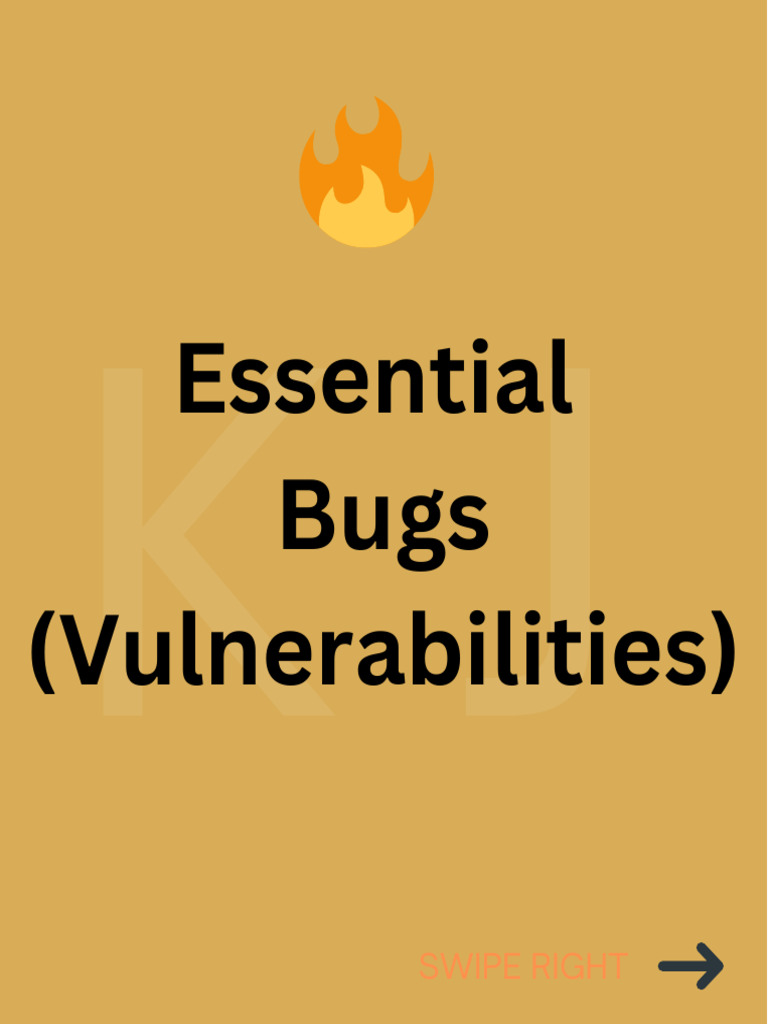 Essential Bugs (Vulnerabilities) | PDF | Internet | Hypertext