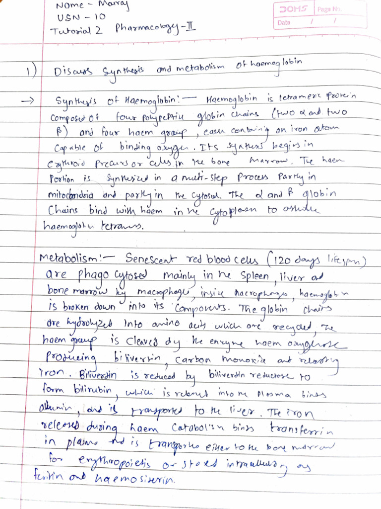 Pharmacology Tutorial 2 | PDF