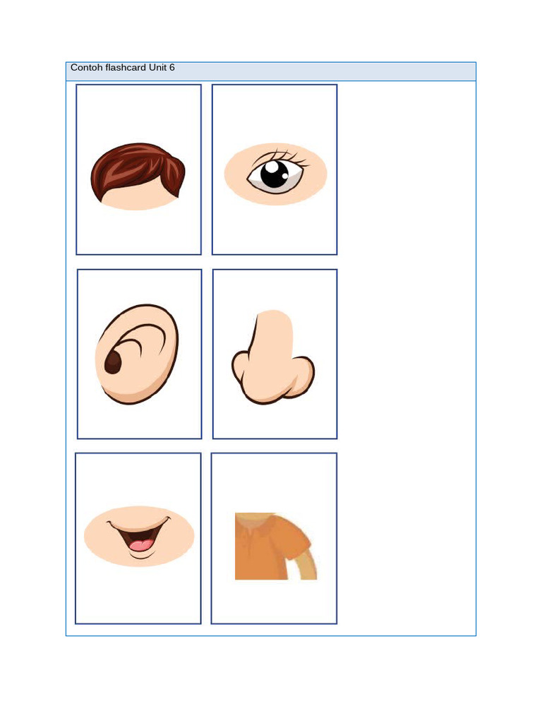 Flashcard Part of Body | PDF